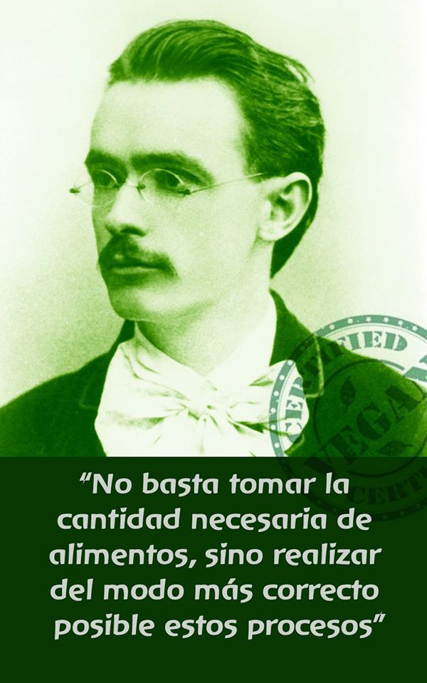Galería de Frases – Palabra de Rudolf Steiner